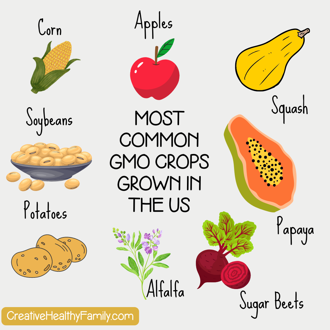 Eliminate Confusion: Organic vs Conventional Produce With PLU Codes