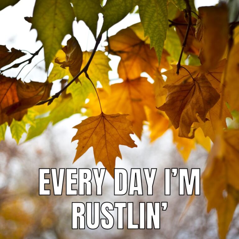 47 Fall Memes & Sayings to Get You Into the Pumpkin Spice Spirit ...